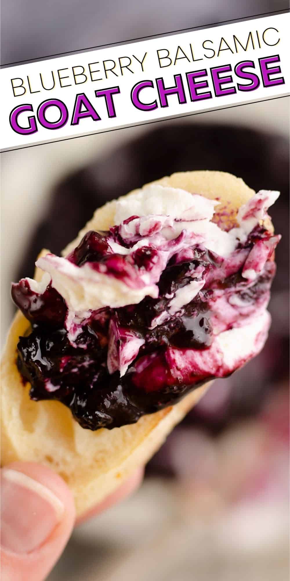 Blueberry Balsamic Goat Cheese Appetizer - 15 Minute Recipe
