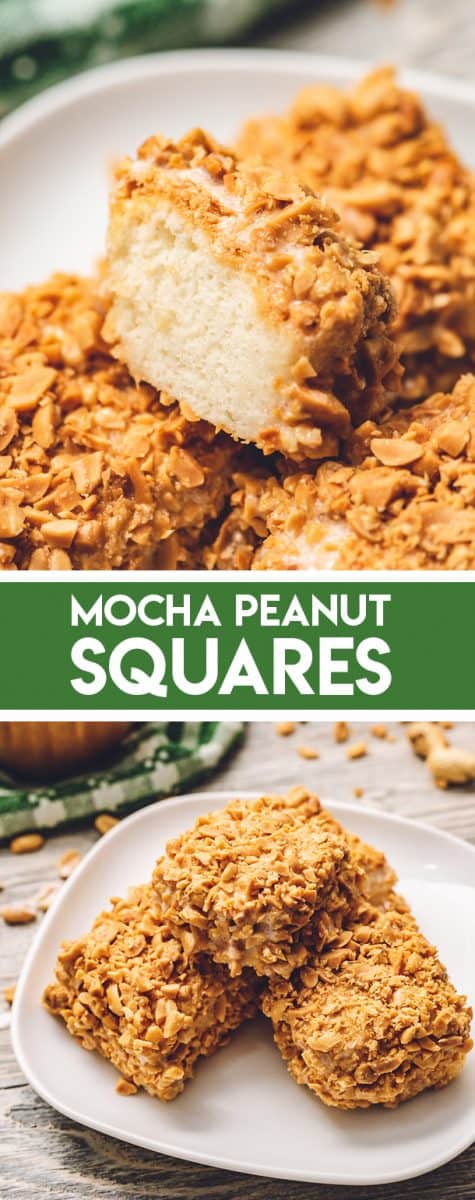 Mocha Peanut Square Bars