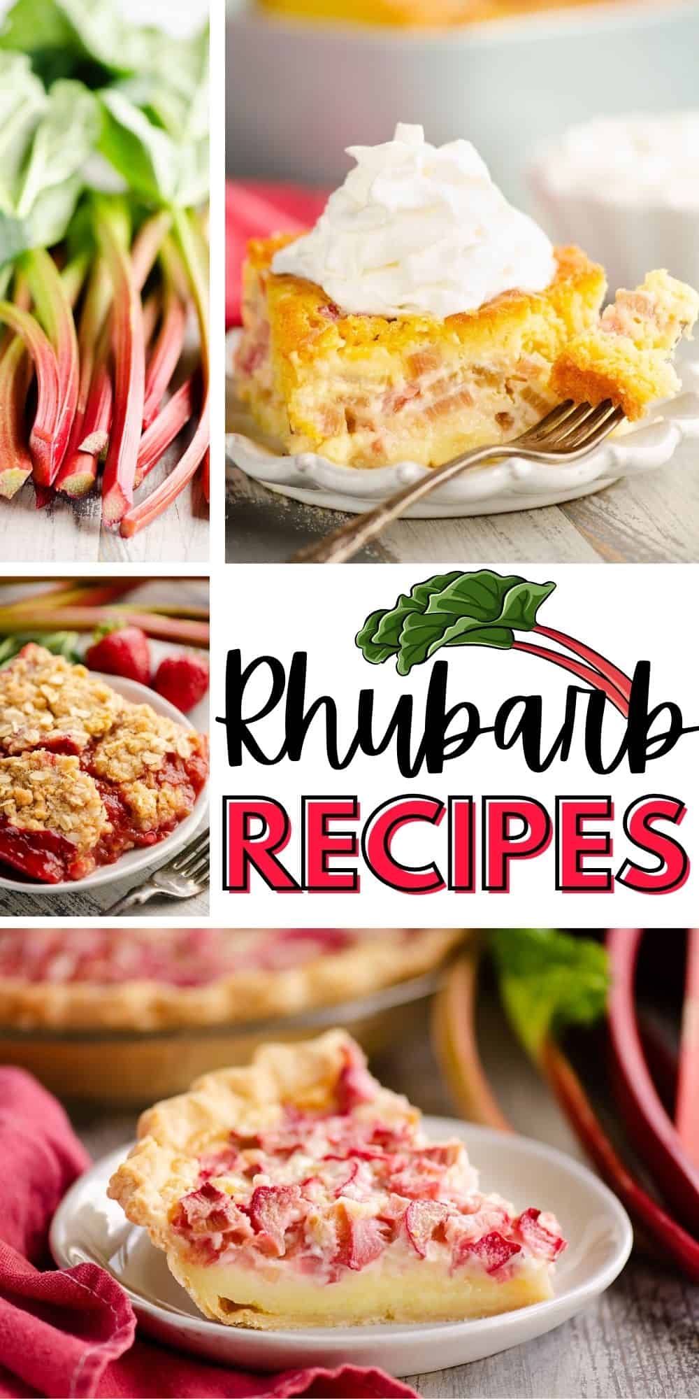 Rhubarb Recipes