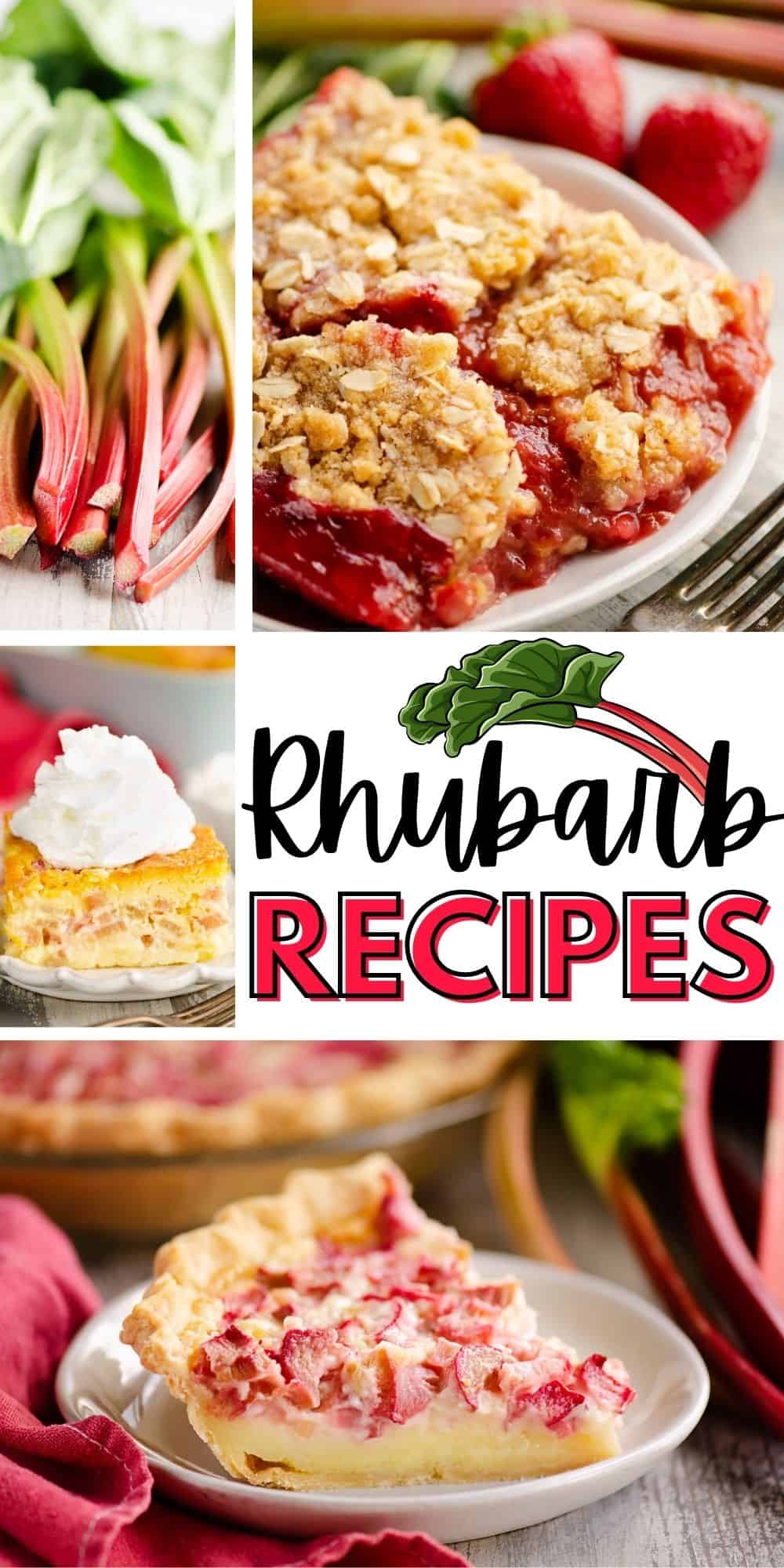 Rhubarb Recipes