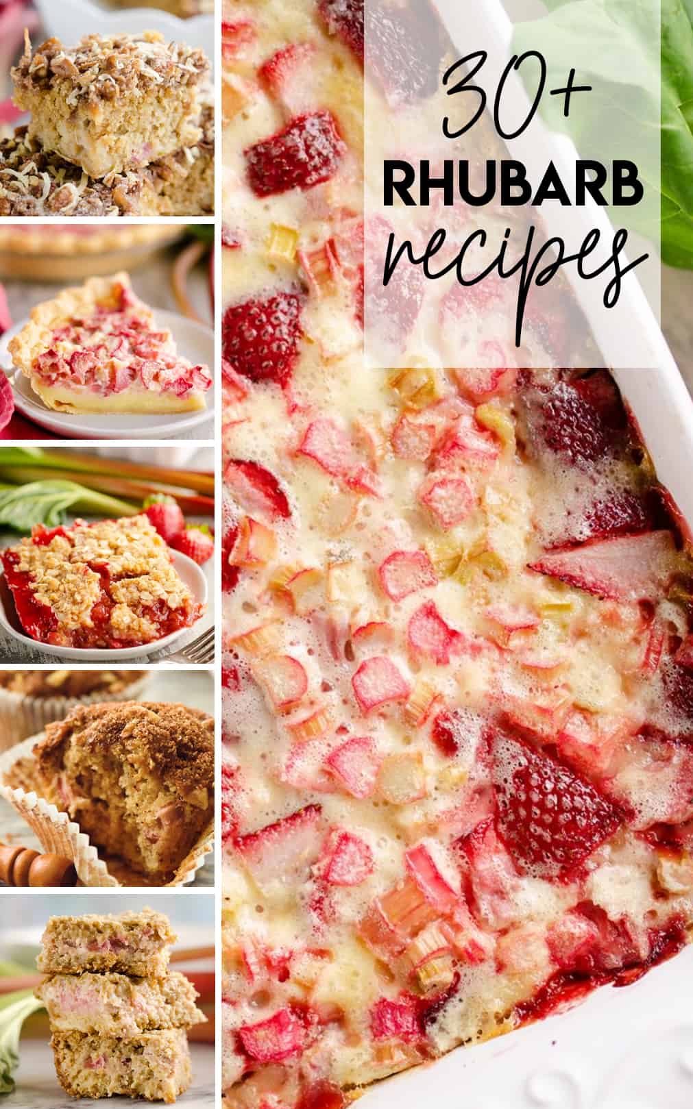 Rhubarb Recipes