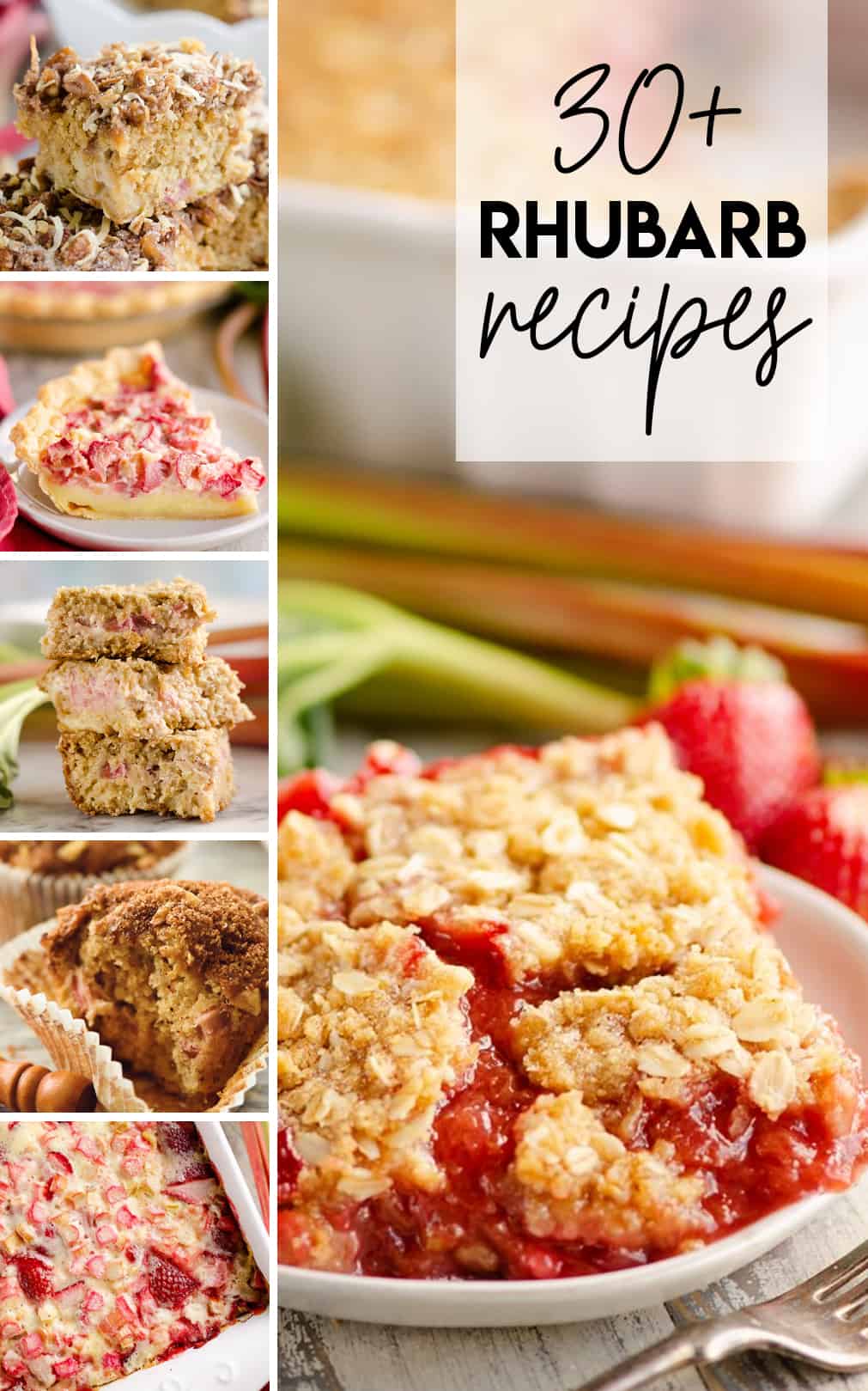 Rhubarb Recipes