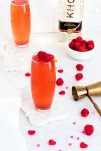 Raspberry Rosé Spritzer Cocktail