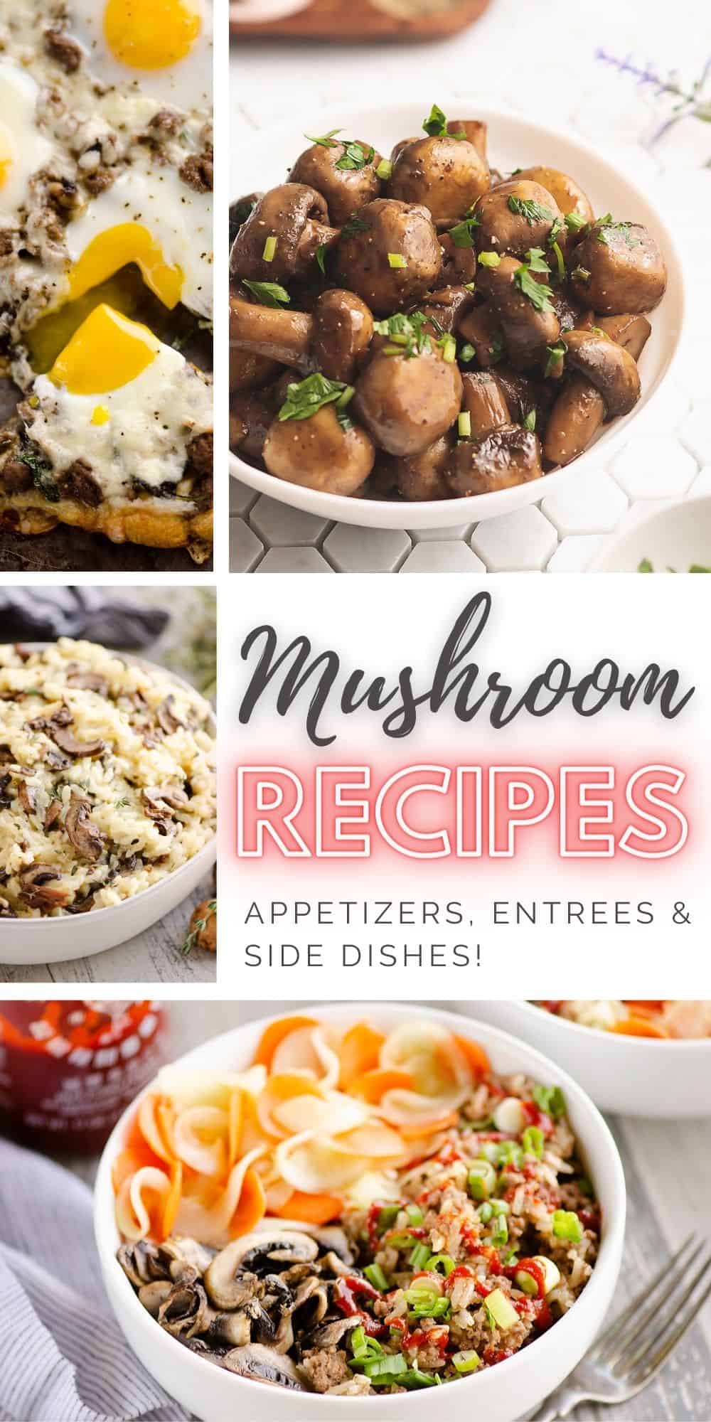 30+ Mushroom Recipes