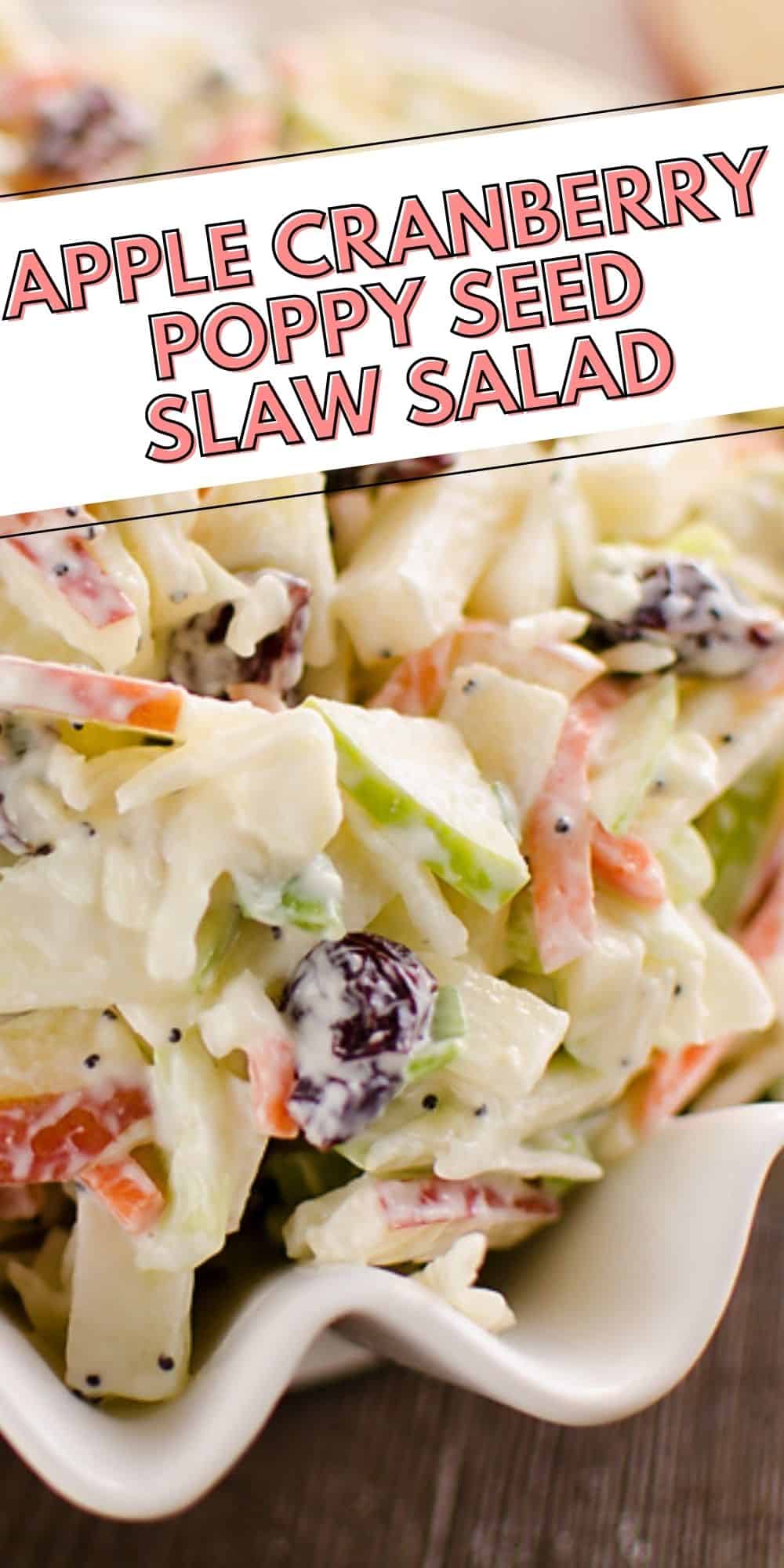 Apple Cranberry Poppy Seed Slaw Salad