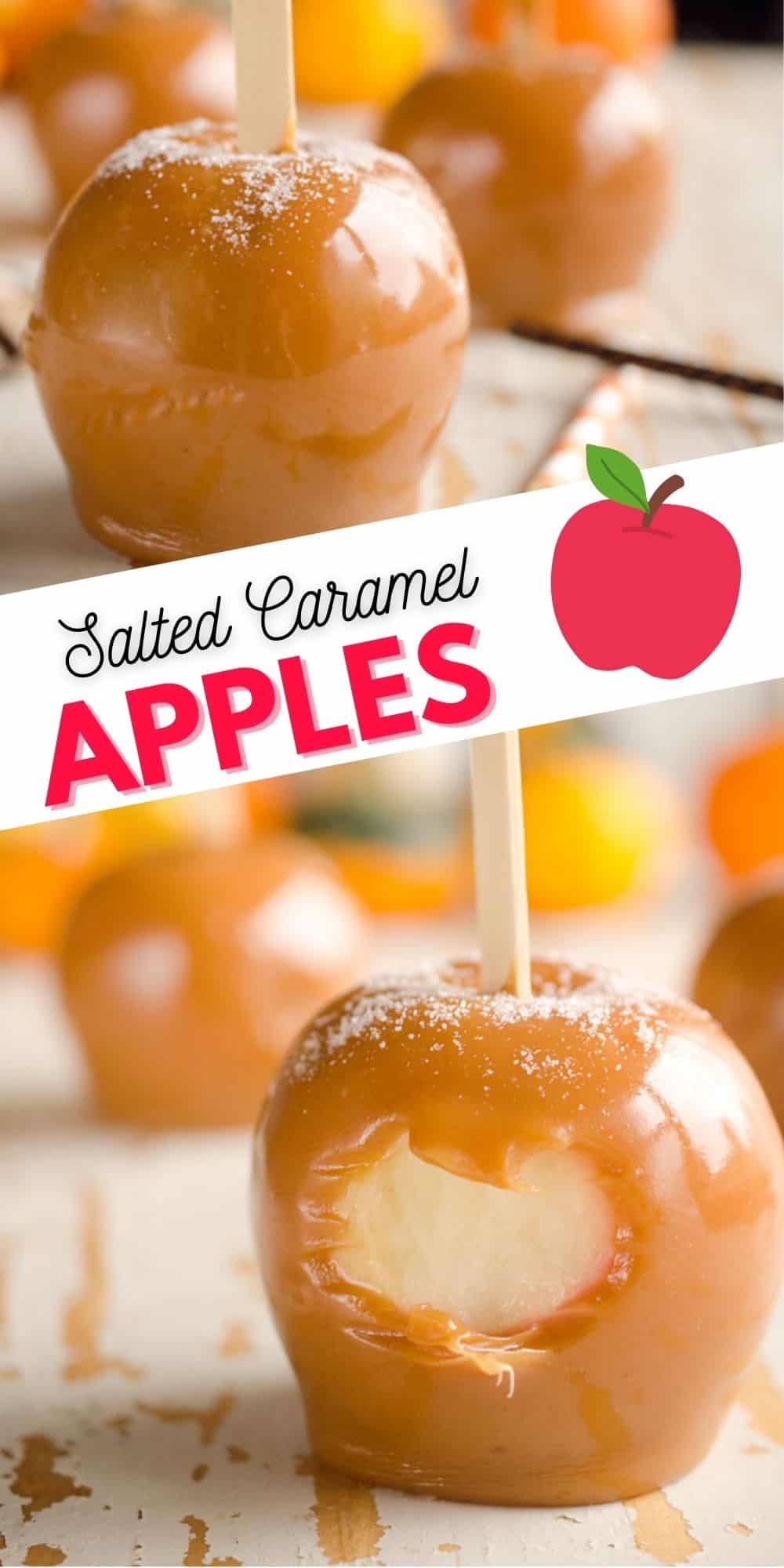 Salted Caramel Apples - Fall Dessert