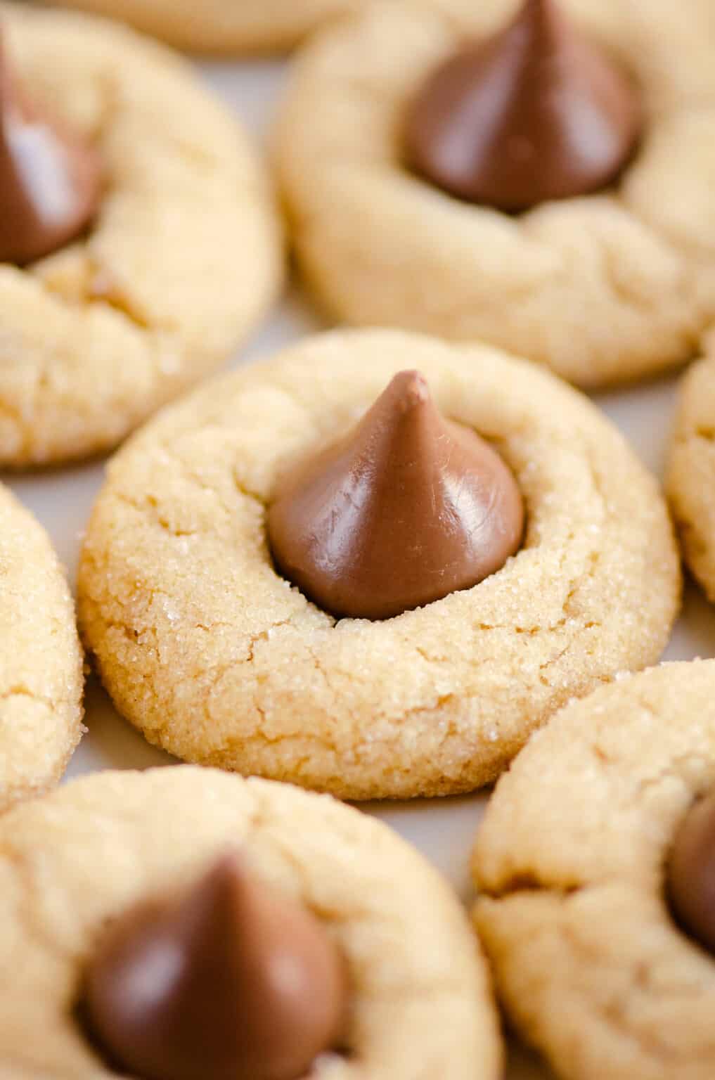 Peanut Butter Blossom Cookies