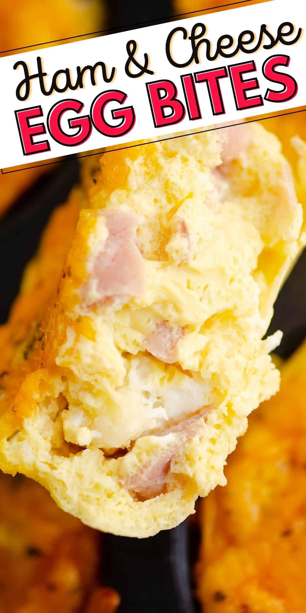 Ham & Cheese Egg Bites