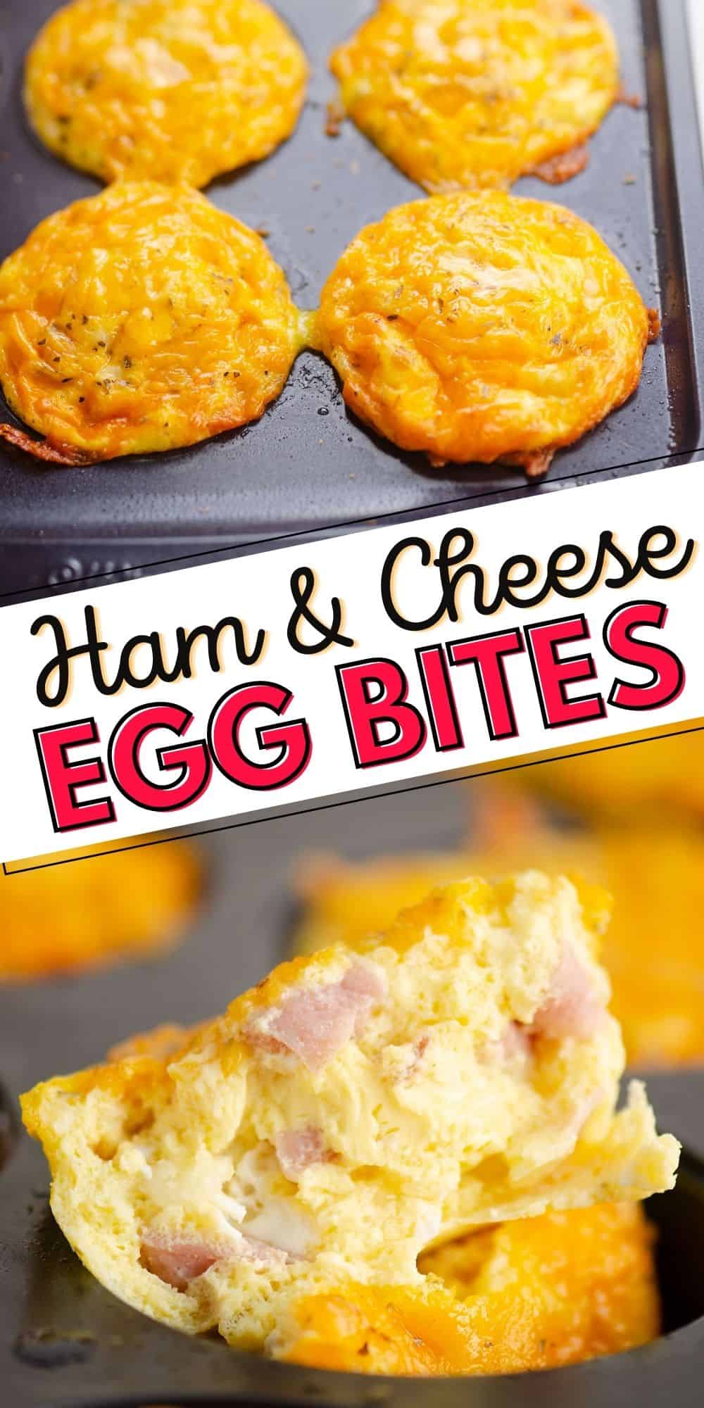 Ham & Cheese Egg Bites