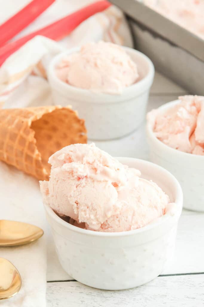 No Churn Rhubarb Ice Cream