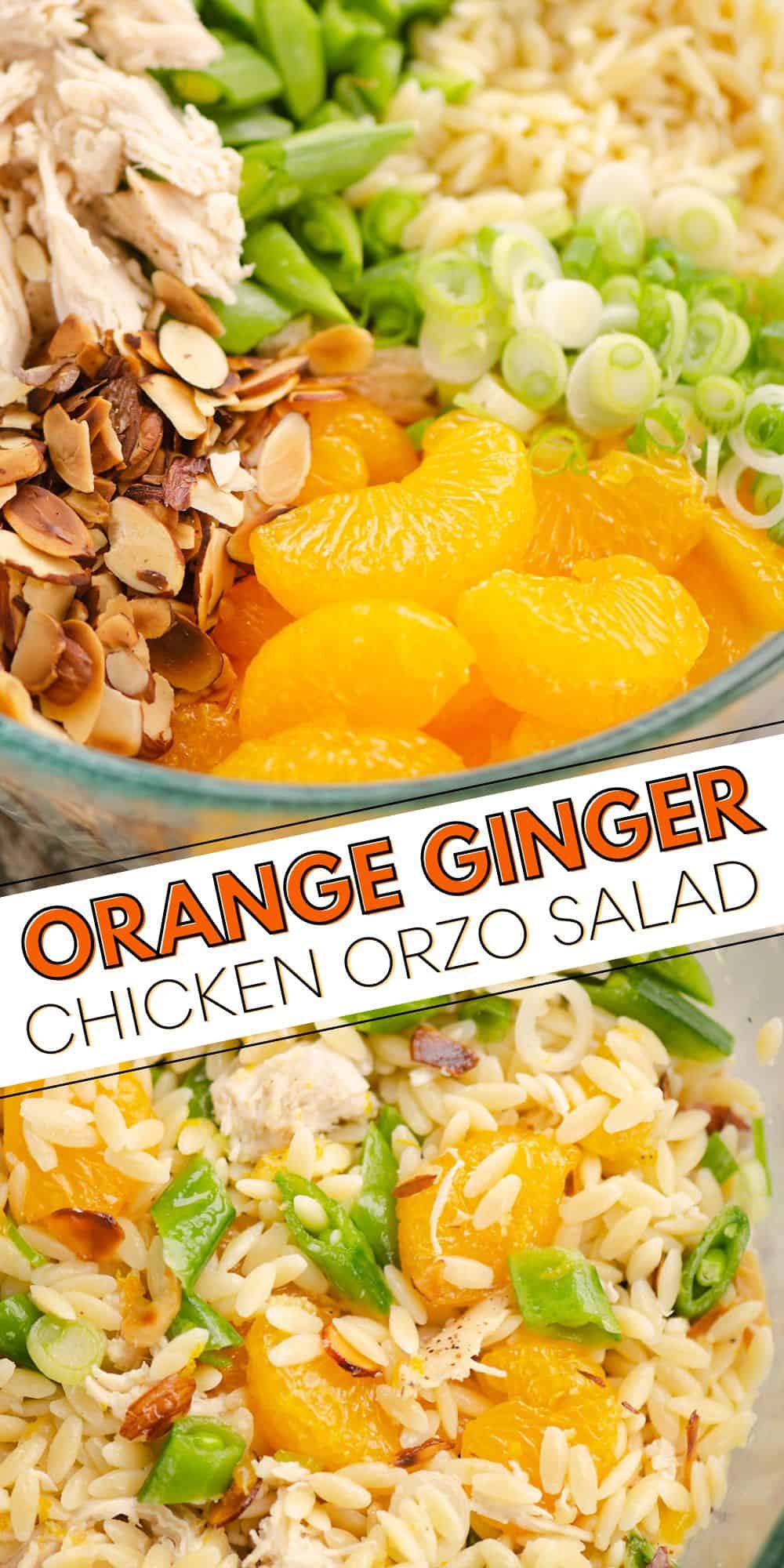 Orange Ginger Chicken Pasta Salad