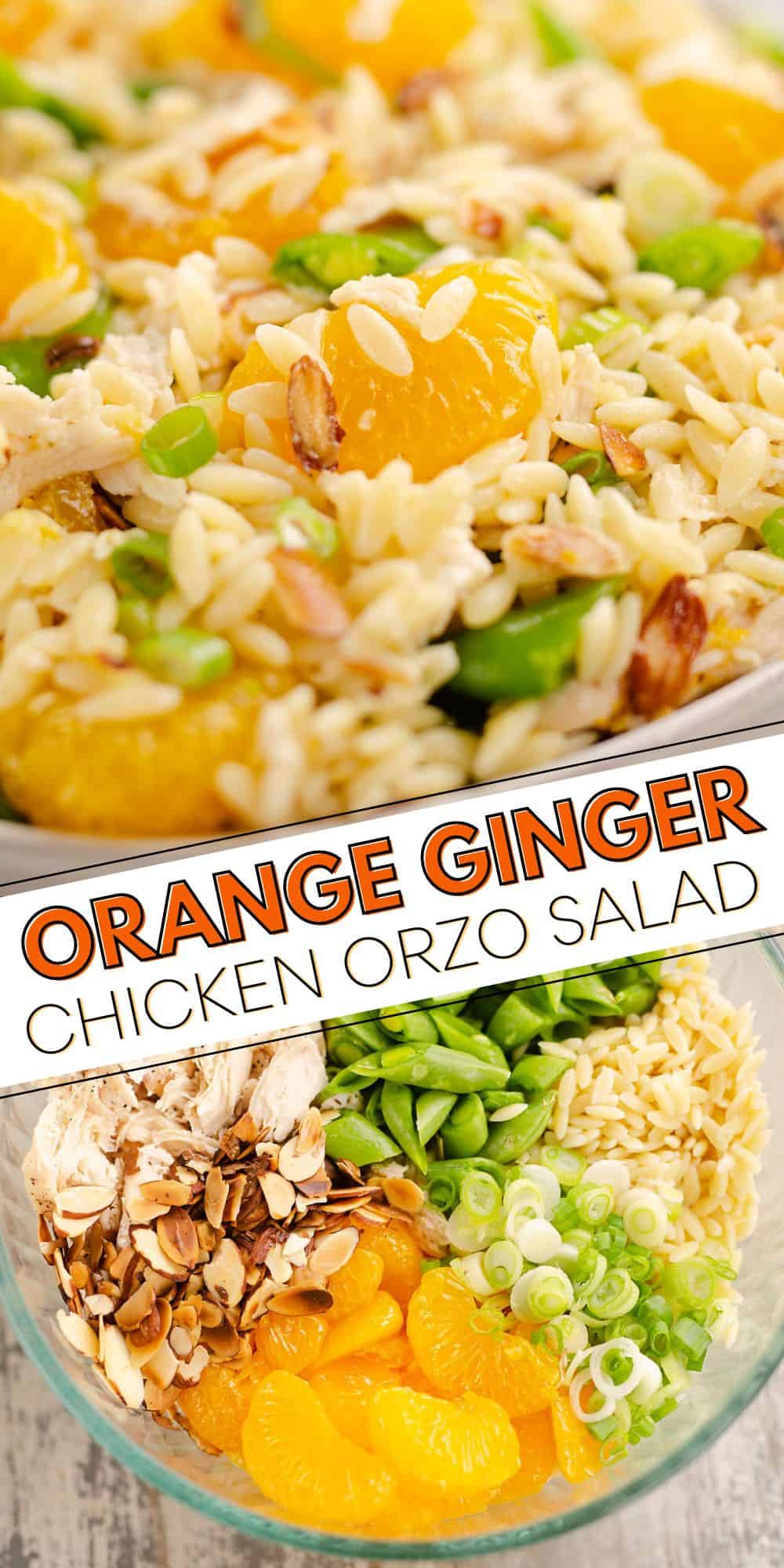 Orange Ginger Chicken Pasta Salad