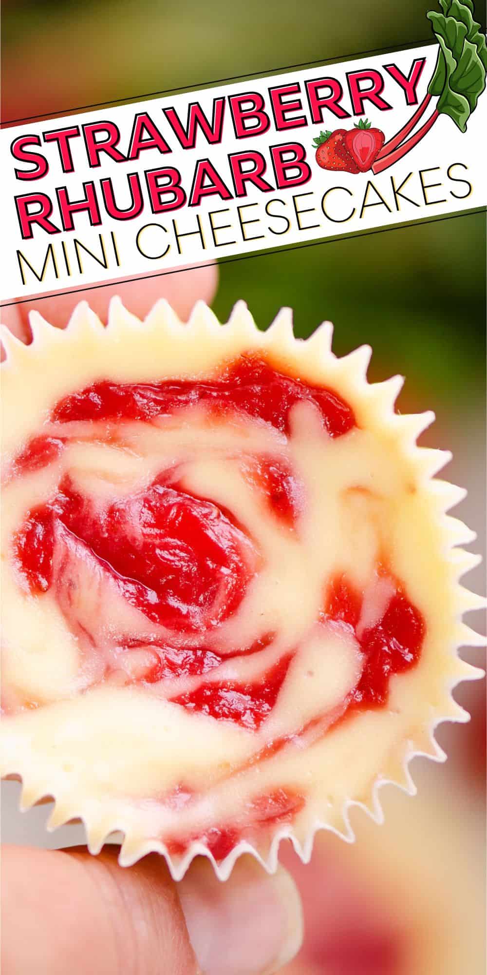 Strawberry Rhubarb Mini Cheesecakes